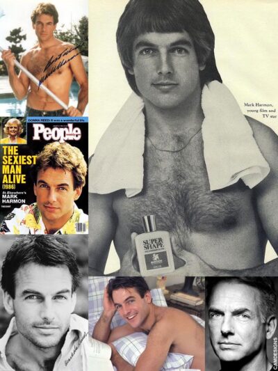 出演ギャラが全米1位?! NCISマークハーモンの勇敢な性格や足の怪我、身長や息子俳優、若い頃のトムクルーズ激似画像など | にぎわす